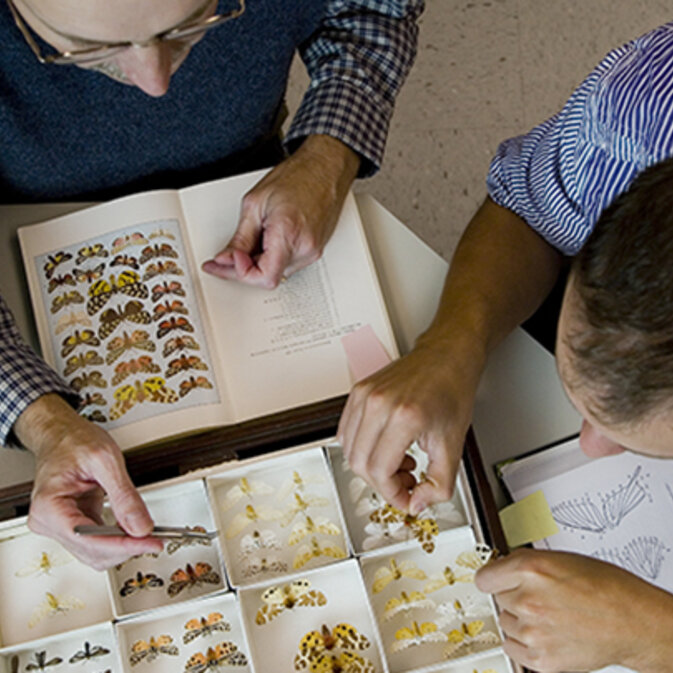 About Casnr College Of Agricultural Sciences And Natural Resources