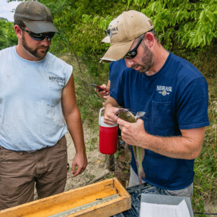 College of Agricultural Sciences and Natural Resources | Nebraska